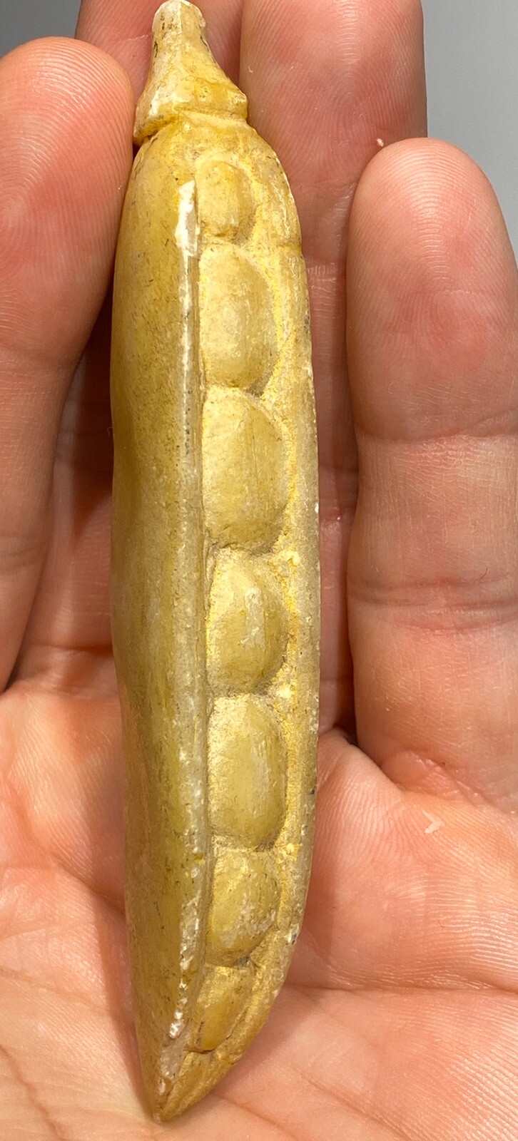 Early Italian Alabaster Stone Vegetable Alabaster White Yellow Bean ...