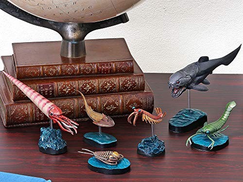 Carolata Paleozoic Creatures Figure 3D Picture Book Ancient Fish / 6 ...