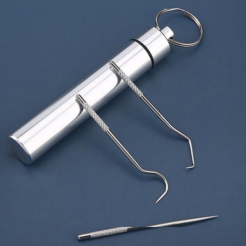 4 Pcs/Set Metal Toothpick Set Stainless Steel Toothpick Floss With ...