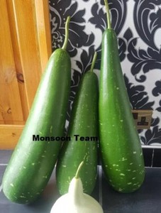 Bangladeshi Khodu Bottle Gourd Dudhi Doodhi Lao Lau Kodu Organic UK ...