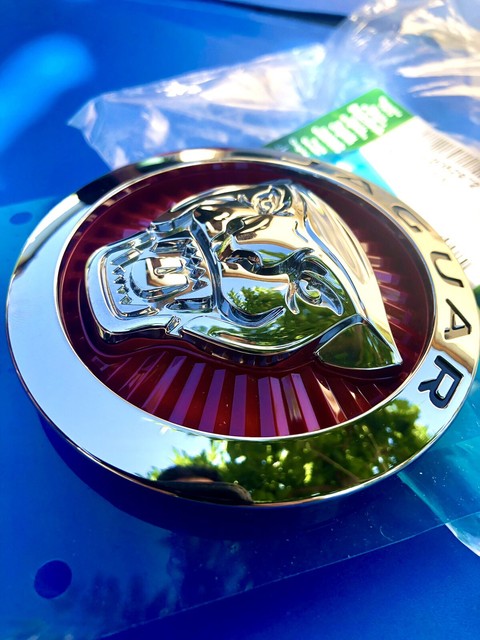 Jaguar OEM 14-16 XF Grille Grill-emblem Badge Nameplate C2D45429 for ...