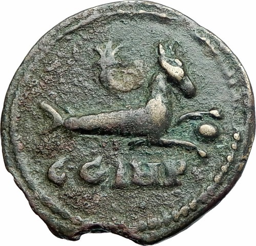 CARACALLA 198AD Genuine Parion Parium Mysia Ancient Roman Coin ...
