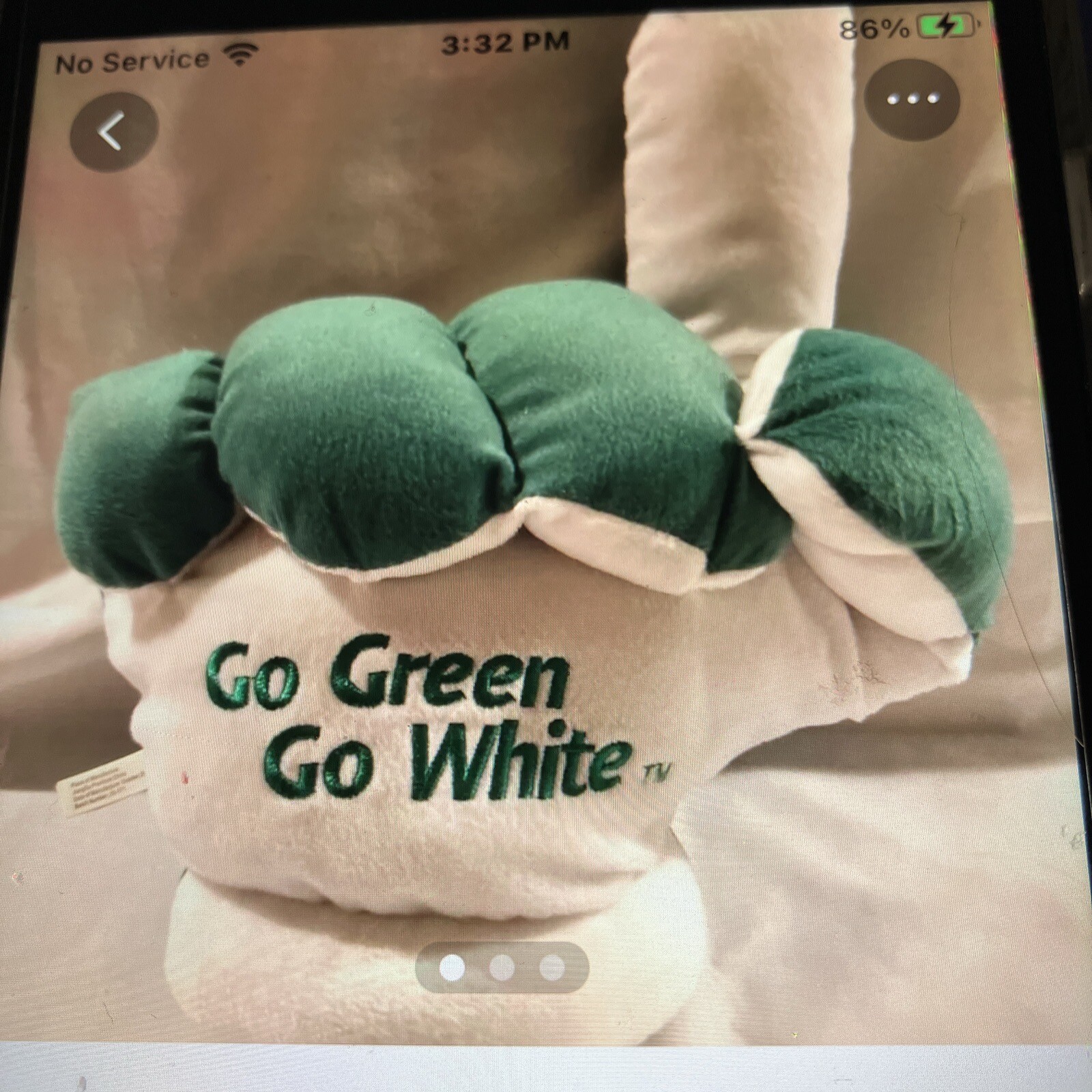 MSU Michigan State University Spartans Fan Cheering Oversized Stuffed ...