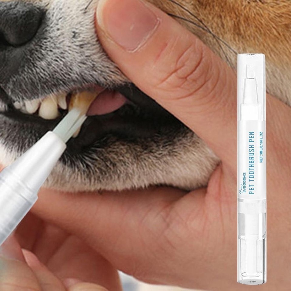 Pet Toothbrush Pen,Dog Teeth Cleaning Pen Cat/Dog Tartar Teeth Pen ...
