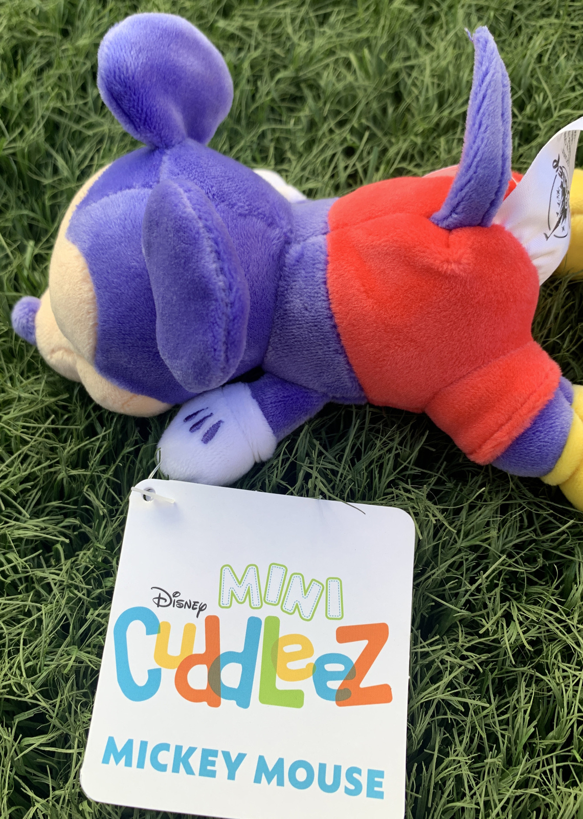 Disney Cuddleez Mickey Mouse Mini Plush | eBay