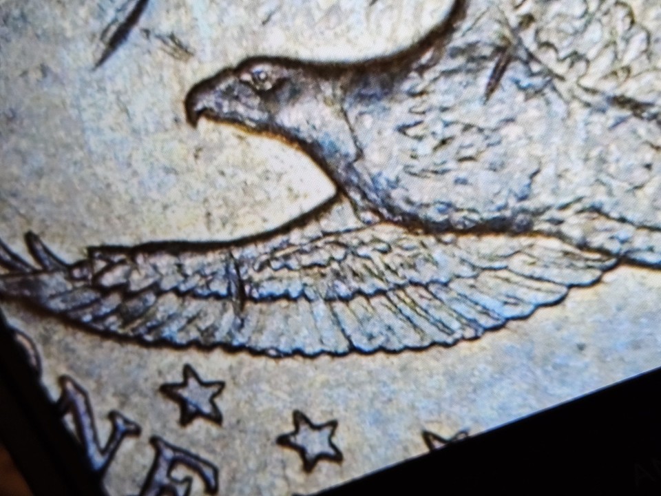 Wounded Eagle 2000 D Sacagawea Dollar Multiple Errors Including Spear ...