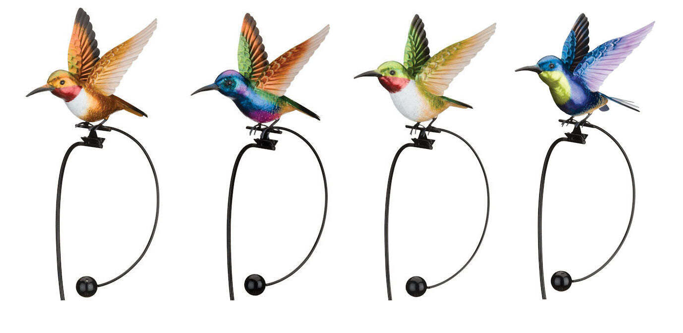 Rocker Hummingbird Stake (Rufous, Ruby Throated, Purple Coronet or ...