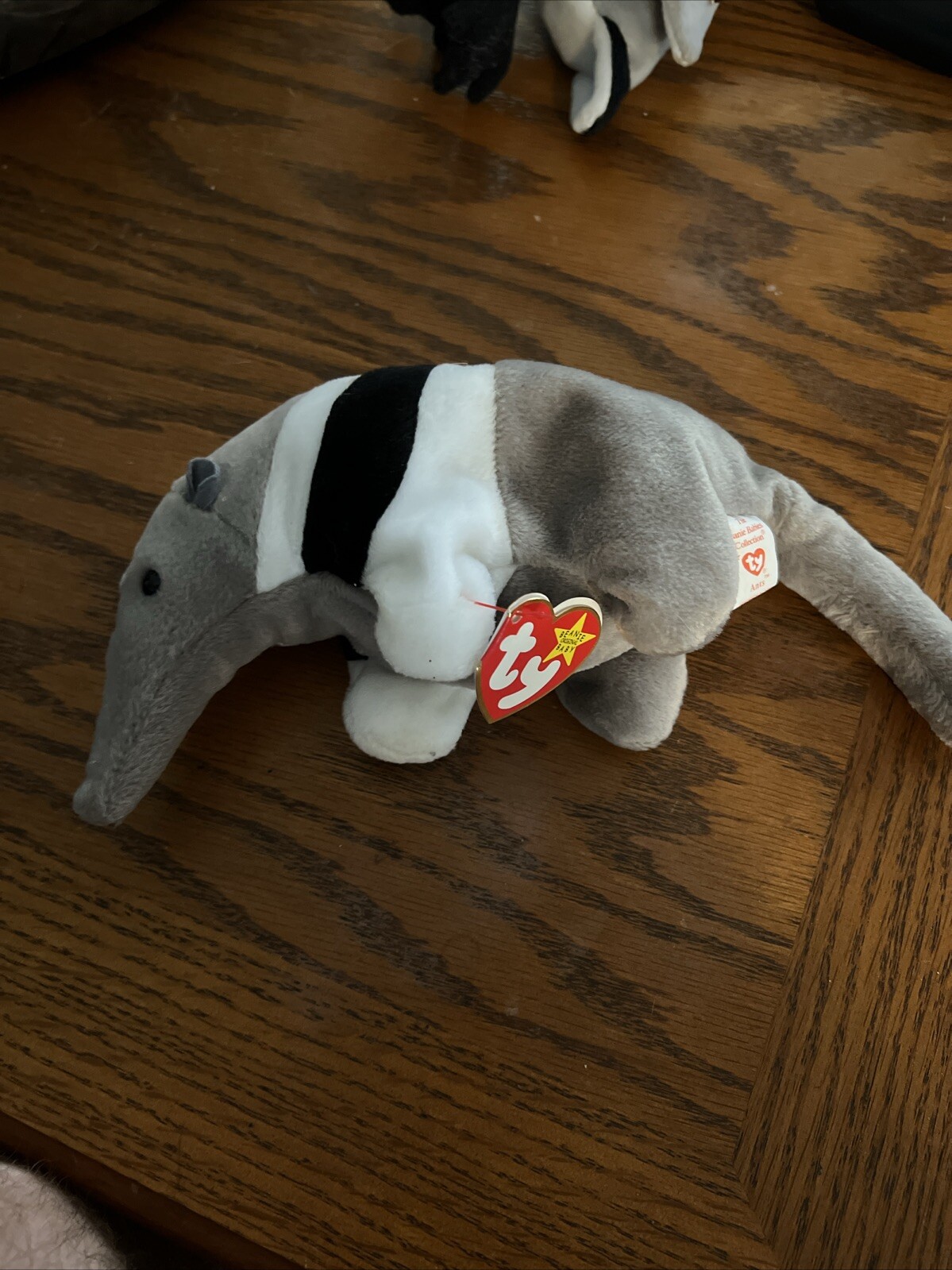 TY Beanie Baby - ANTS the Anteater (8.5 inch) - MWMTs Stuffed Animal ...