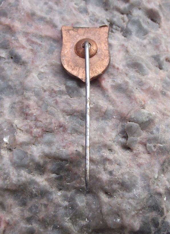 Antique Piwniczn Zdroj Heraldic Crest Polish Coat of Arms Poland Pin ...