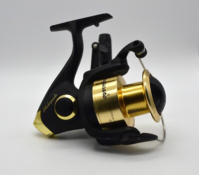 Spinning - Shakespeare Model