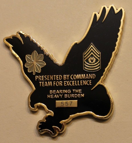 18th Airborne Corps 188th BSB ser#557 Army Challenge Coin | eBay