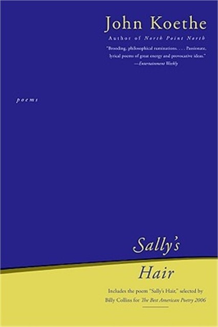 Sally's Hair : Poems by John Koethe (2007, Perfect) for sale online | eBay