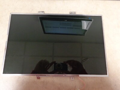 AU Optronics B154EW02 V.2 15.4" WXGA CCFL LCD Screen LAPTOP | For ...