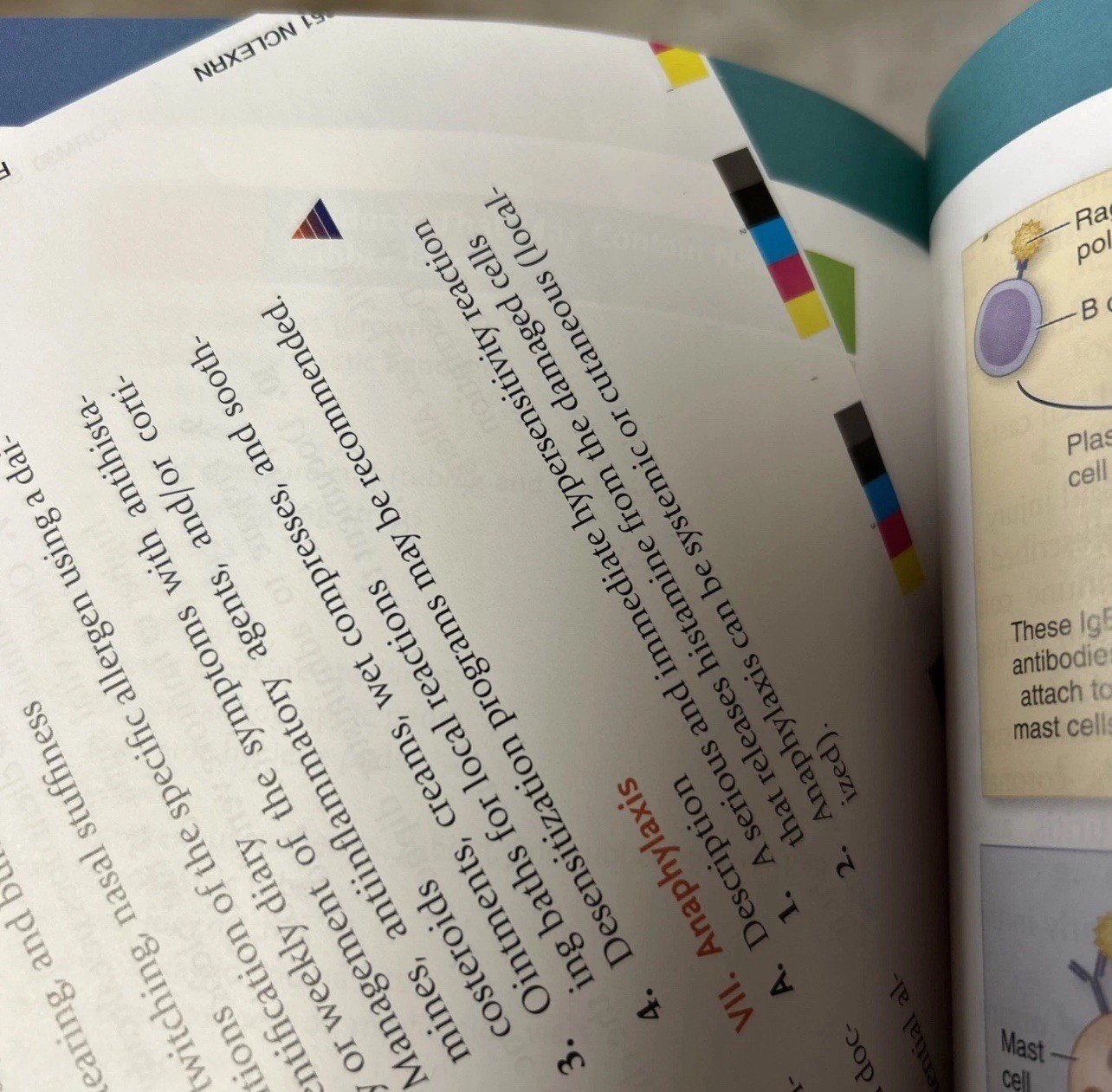 Saunders Comprehensive Review for the NCLEX-RN Examination 9th Edition ...