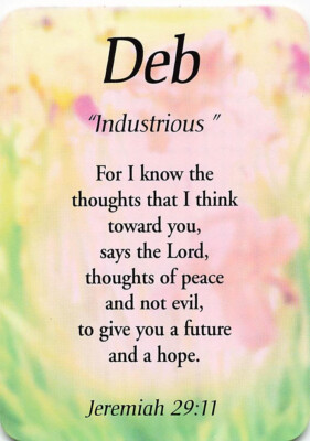 Deb "Industrious" Keepsake Name Meaning Card with Verse | eBay