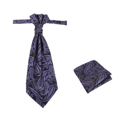 Purple Black Paisley Cravat Formal Long Pre-tied Ascot Hanky Epoint C.B ...