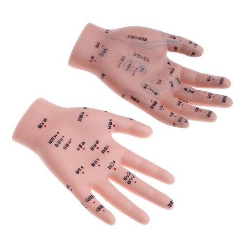 14cm Message Acupuncture Hand Model Reflexology Acupoint Study Kit | eBay