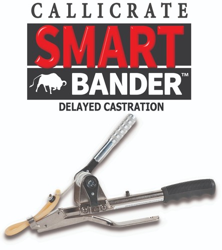 Callicrate SMART Bander Kit | eBay