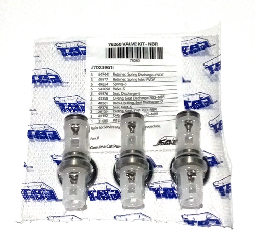 Cat Pumps 76260 Valve Kit 67DX39G1I OEM | eBay