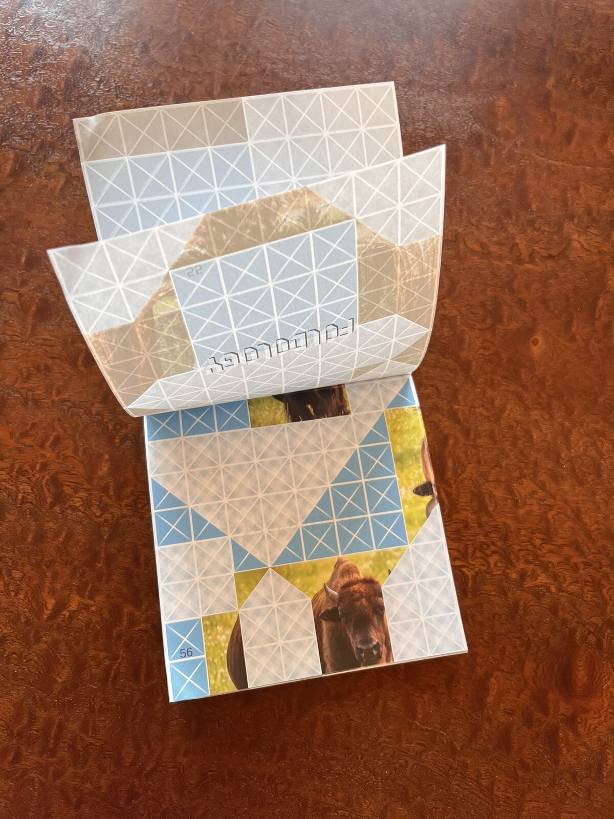 Foldology Puzzle Book The Ultimate Folding Challenges | eBay