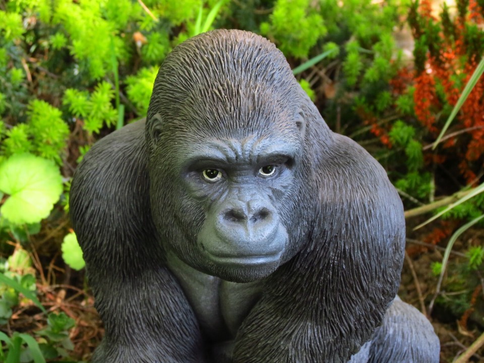 SILVERBACK GORILLA FIGURE, Life Like Home & Garden Ornament. Vivid Arts ...