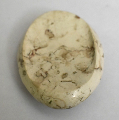 Prehistoric Shellfish Fossil from Ancient Seabed from Mountains North ...