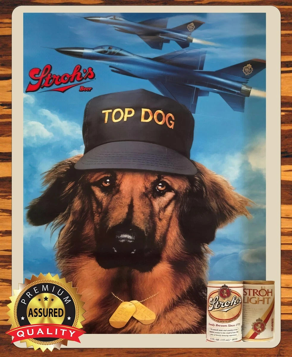 What Kind Of Dog Was Alex From Strohs