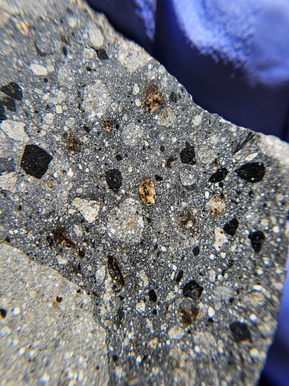 Meteorite**NWA 16792 (Prov.), EUCRITE**49.620 gram, W/Carbonaceous ...