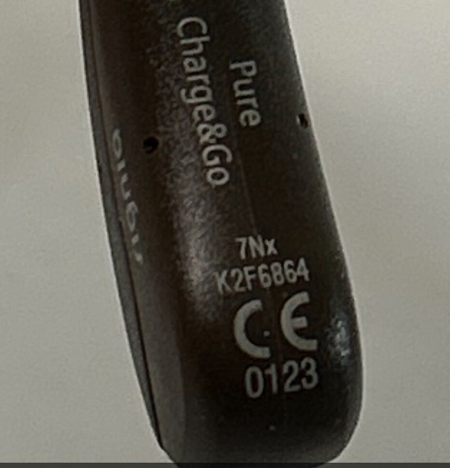 Signia Pure Charge & Go 7Nx Rechargeable Hearing Aids RIC with Charger ...