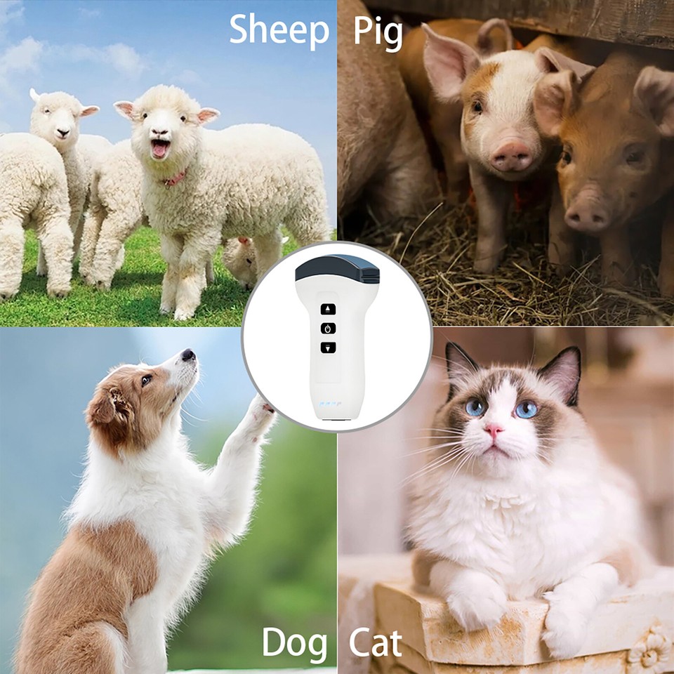 Wireless Color Doppler Vet Ultrasound Machine 3.5MHZ Probe For Pig ...
