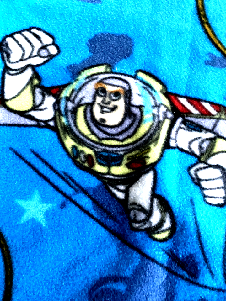 DISNEY PIXAR TOY STORY ROLL UP MAT SLEEP BAG BLANKET ZIPPER HANDLE ...