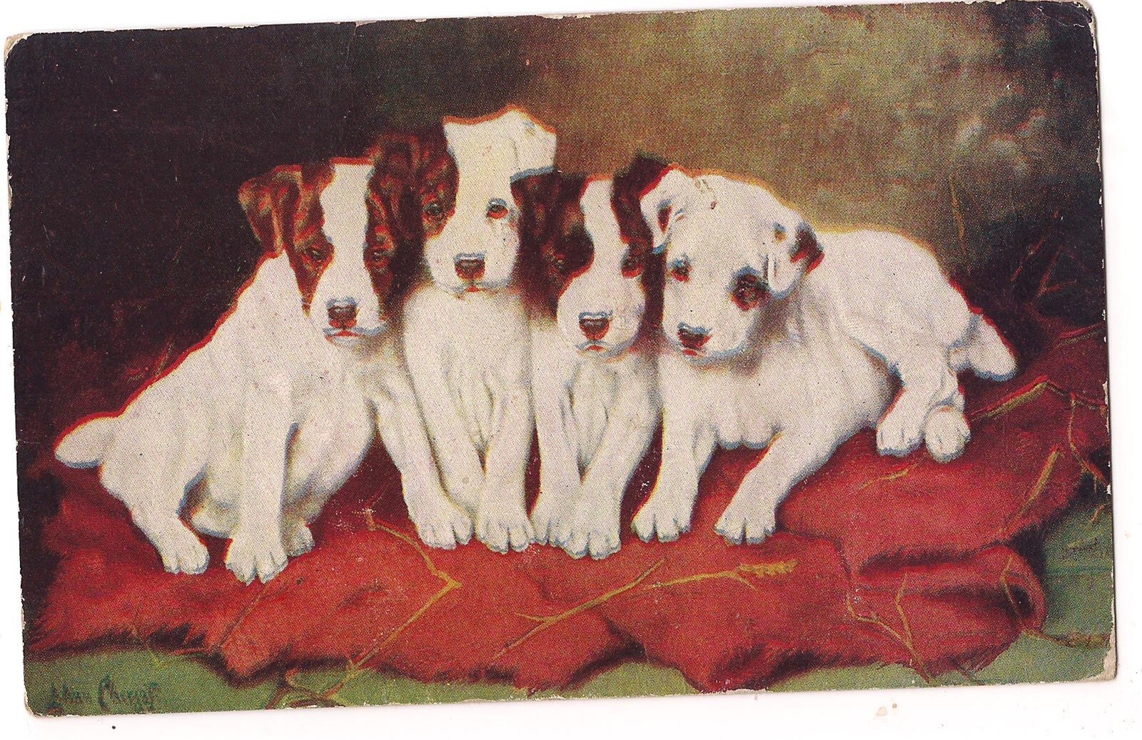 Four PUPPIES on a Red Blanket Litter Black or Brown White Dogs Postcard ...
