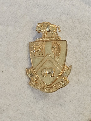 WWII US Army Infantry Regiment Pin DI Badge Meyer CB L@@K!!! | eBay