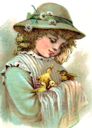 1880s Victorian Trade Card "Friends In Feathers" Girl & Ducklings F114 ...