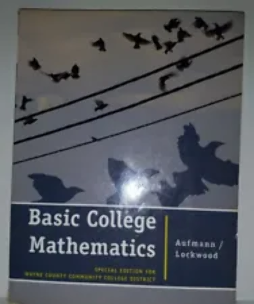 Basic college Mathematics Special Edition for Wayne County Community ...