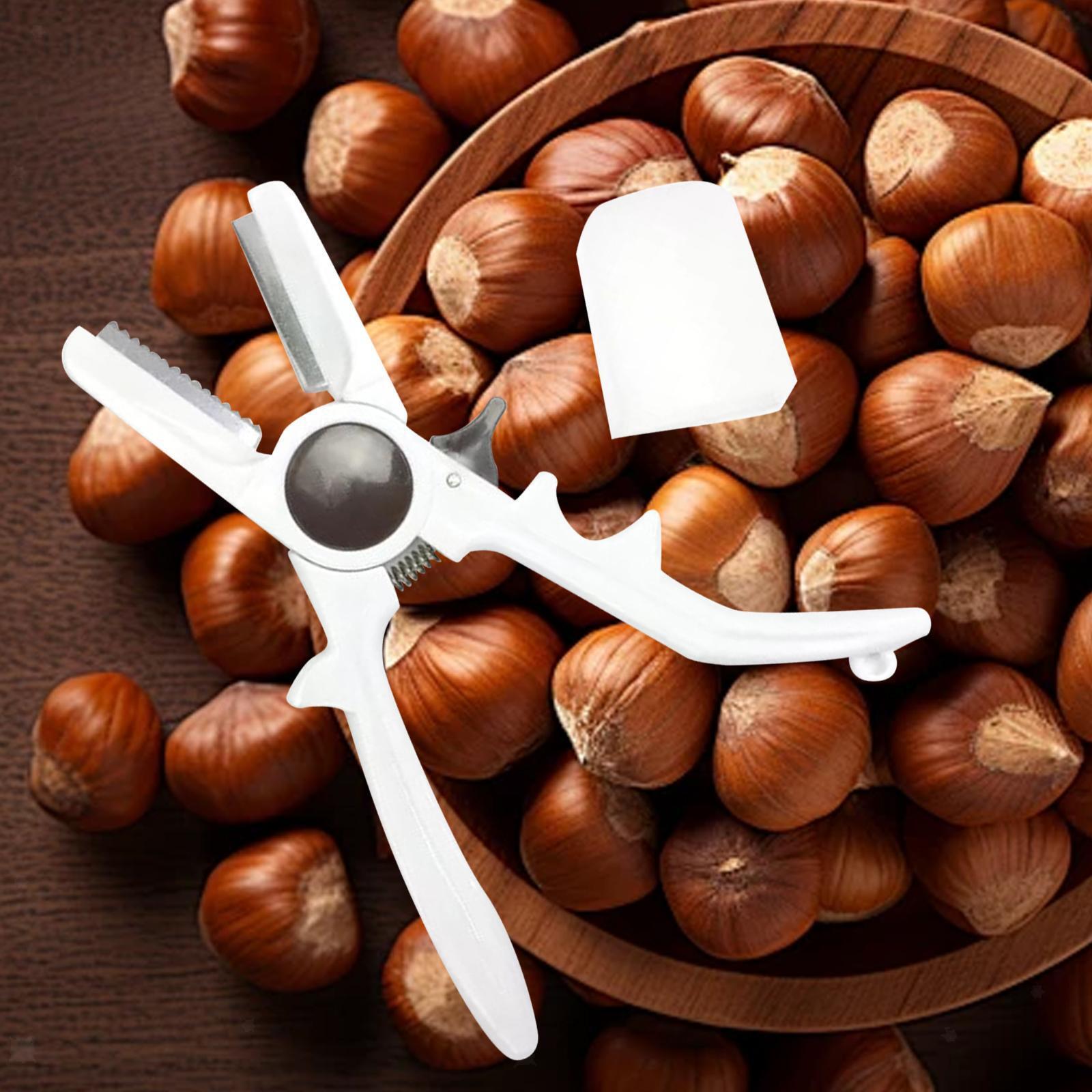 Chestnuts Opener Kitchen Tool Chestnuts Peeler for Home Kitchen ...