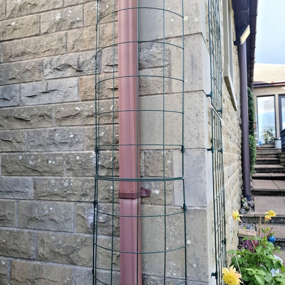 Wall Plant Support Trellis Mesh For Climbing Climbers Metal Frame ...