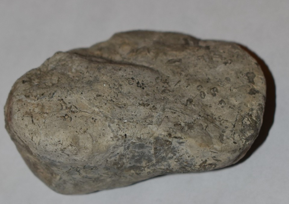 Jade Specimen Rare Blue Ridge Mountains North Carolina USA Blue Ridge ...