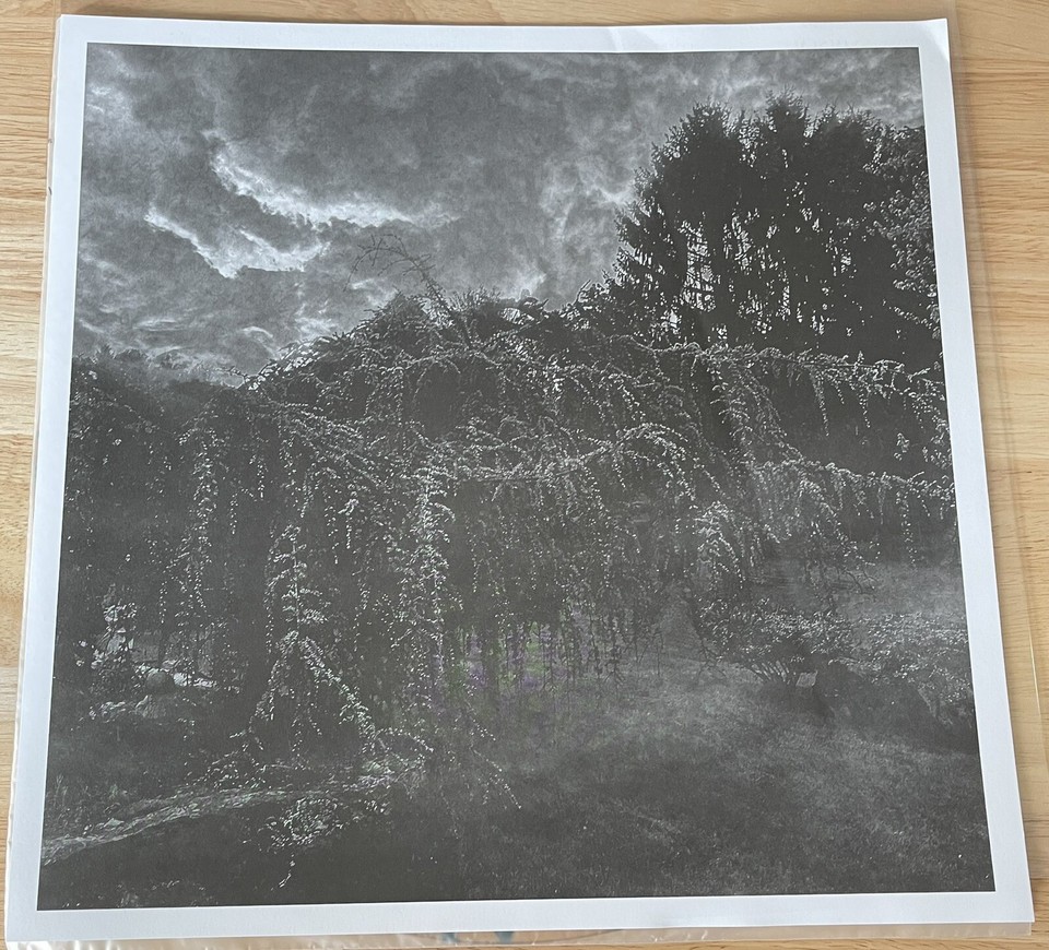 SUMERLANDS - Sumerlands 2016 Vinyl LP Limited to 300 Gold w/ Blue ...