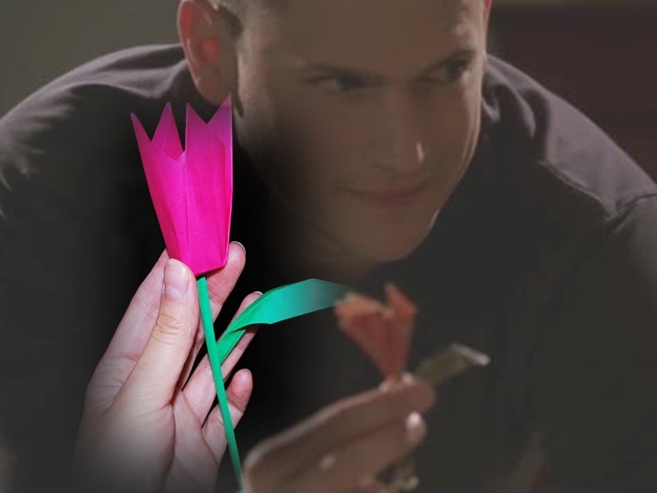 Prison break Origami rose flower paper swan crane MICHAEL SCOFIELD ...