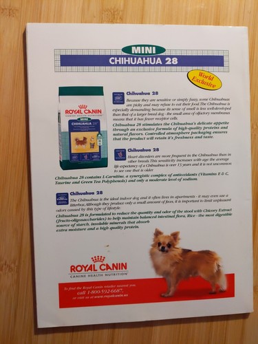 Chihuahuas Popular Dog Series Vol 8 2nd and 3rd ed Magazine. Lot of 2 ...