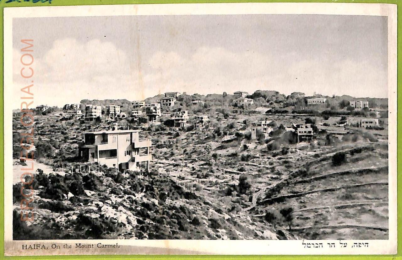 af3266 - JUDAICA vintage postcard: ISRAEL - HAIFA, On The Mount Carmel ...