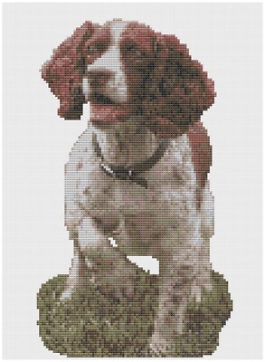 Cross Stitch Pattern by Florashell - English Springer Spaniel Dog | eBay