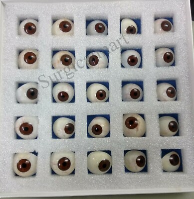 Pack 25 Eyes Artificial Prosthetic Realistic Eye Brown Colour SIZE ...