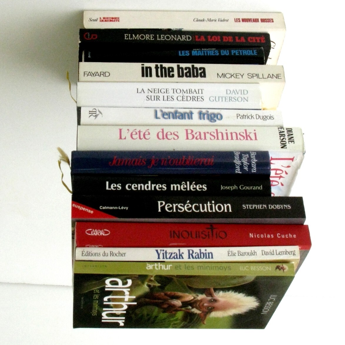 lot 13 livres romans grand format Arthur minimoys Besson-Rabin ...