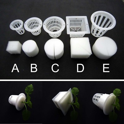 10 Clear White Mesh Pot Net Basket + Clone Cloning Collar Foam Insert ...
