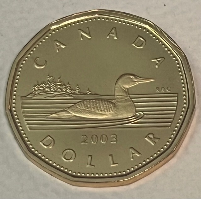 2003 Canada Uncirculated PROOF LOONIE Heavy Cameo $1 Coin | eBay