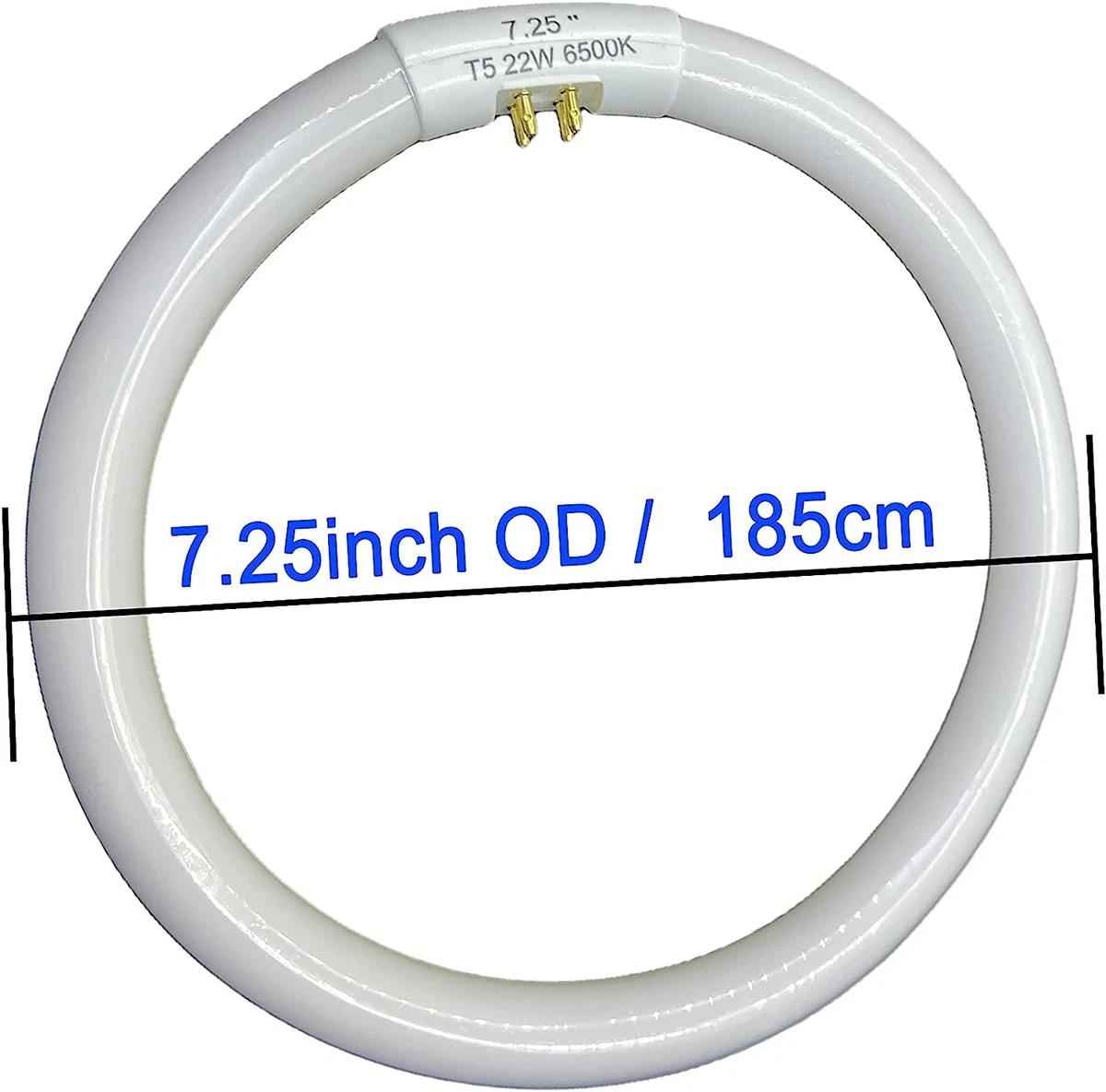 Jinn Lighting T5 22w 6400k | Shelly Lighting