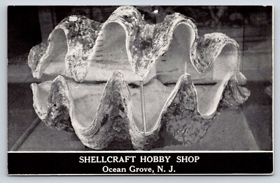 Postcard Shellcraft Hobby Shop, Ocean Grove, NJ, Giant Man Eating Clam ...