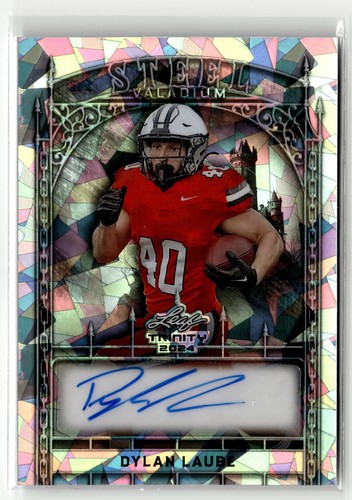 2024 Leaf Trinity Steel Valadium Silver Auto #S-DL2 Dylan Laube #/10 | eBay